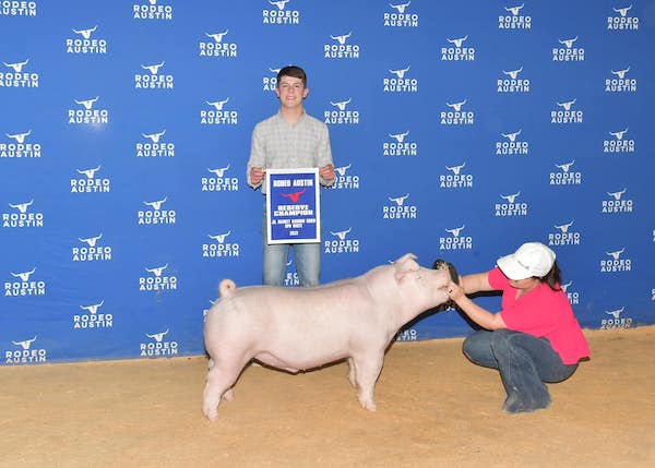 Reserve Champion White OPB Barrow - 2023 Rodeo Austin - Crossroads Genetics