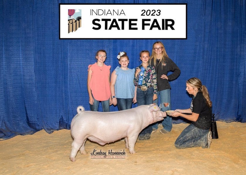 1st Place Chester Barrow - 2023 Indiana State Fair Jr Show - Crossroads ...