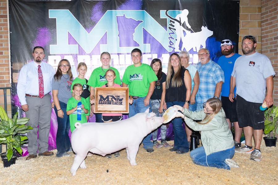 5th Overall Purebred Barrow & Champion Chester - 2023 Minnesota Jr ...