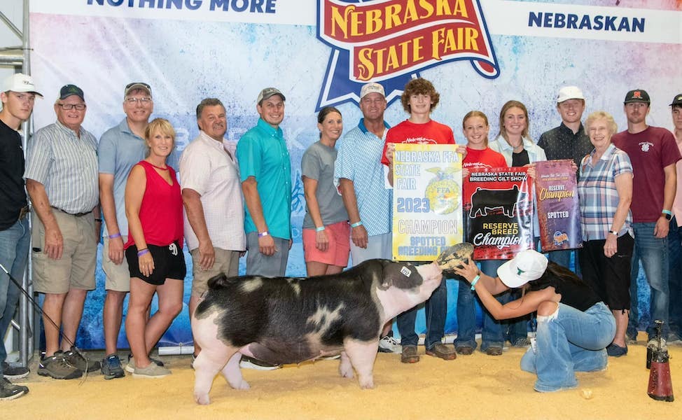 Champion Spot GIlt - 2023 Nebraska State Fair FFA Show - Crossroads ...