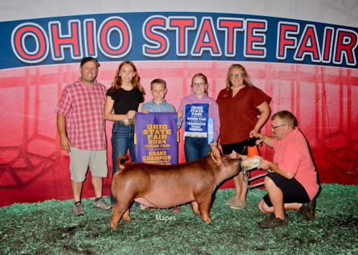 Champion Tamworth Gilt - 2024 Ohio State Fair Jr Show - Crossroads Genetics