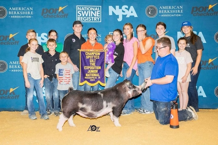 Champion Spot Gilt - 2024 The Exposition - Crossroads Genetics