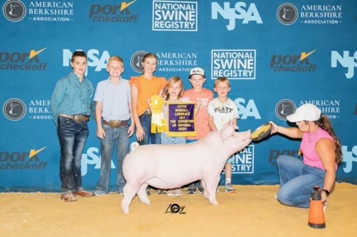 5th Overall Landrace Gilt - 2024 The Exposition - Crossroads Genetics