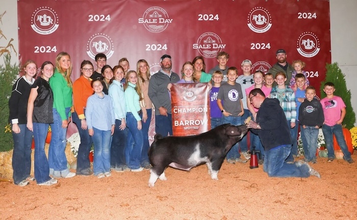 Champion Spot Barrow - 2024 American Royal - Crossroads Genetics